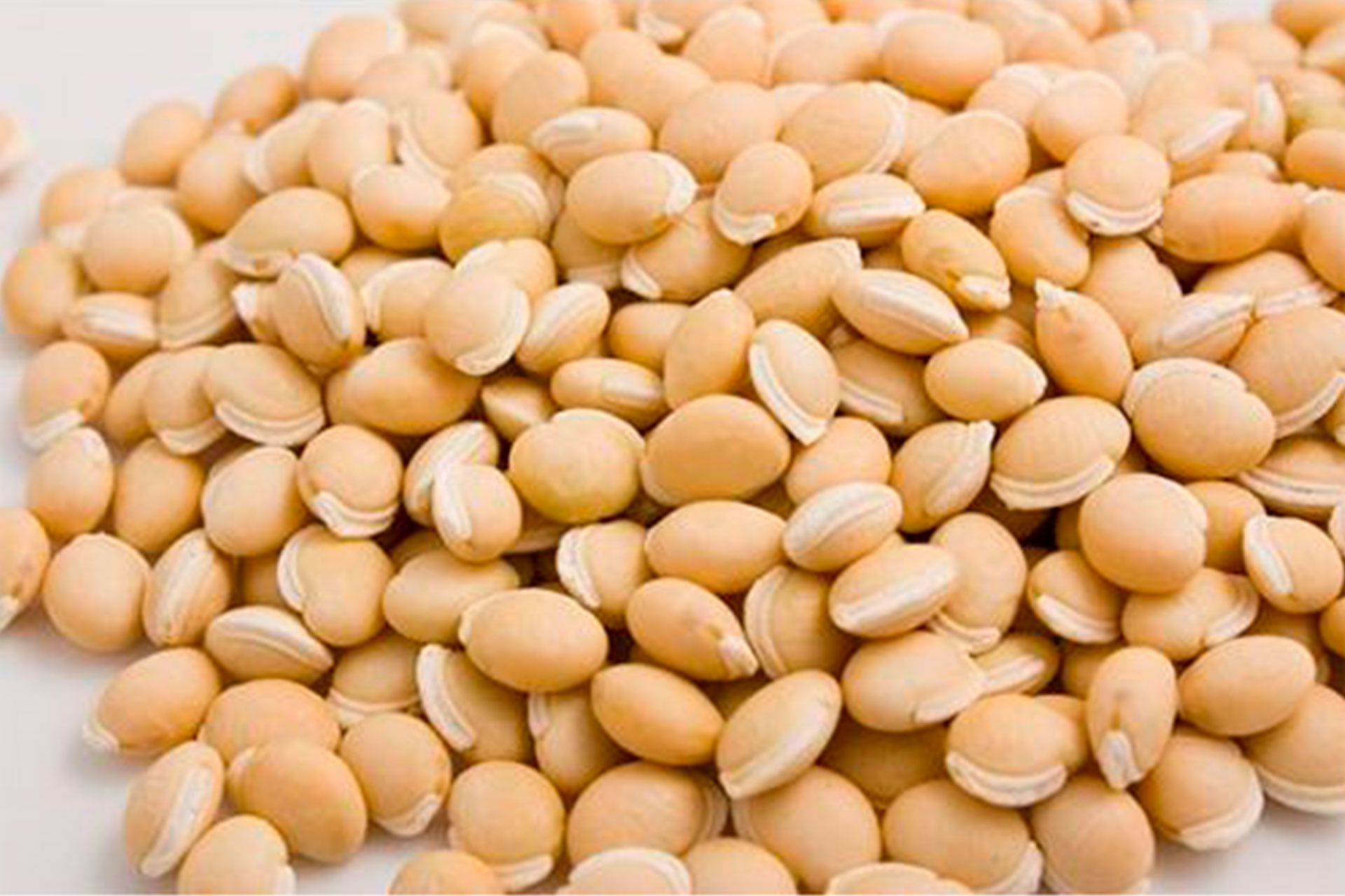 Gold Land | Pulses | Val beans