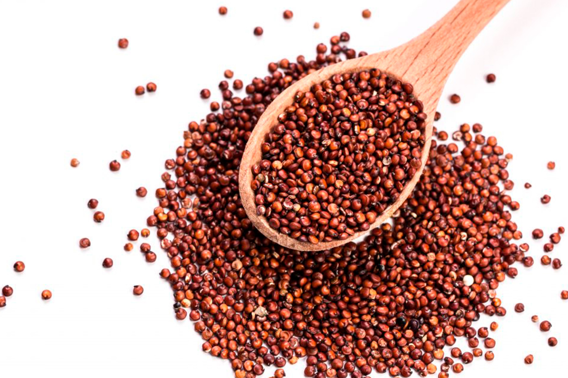 Red Inca Quinoa