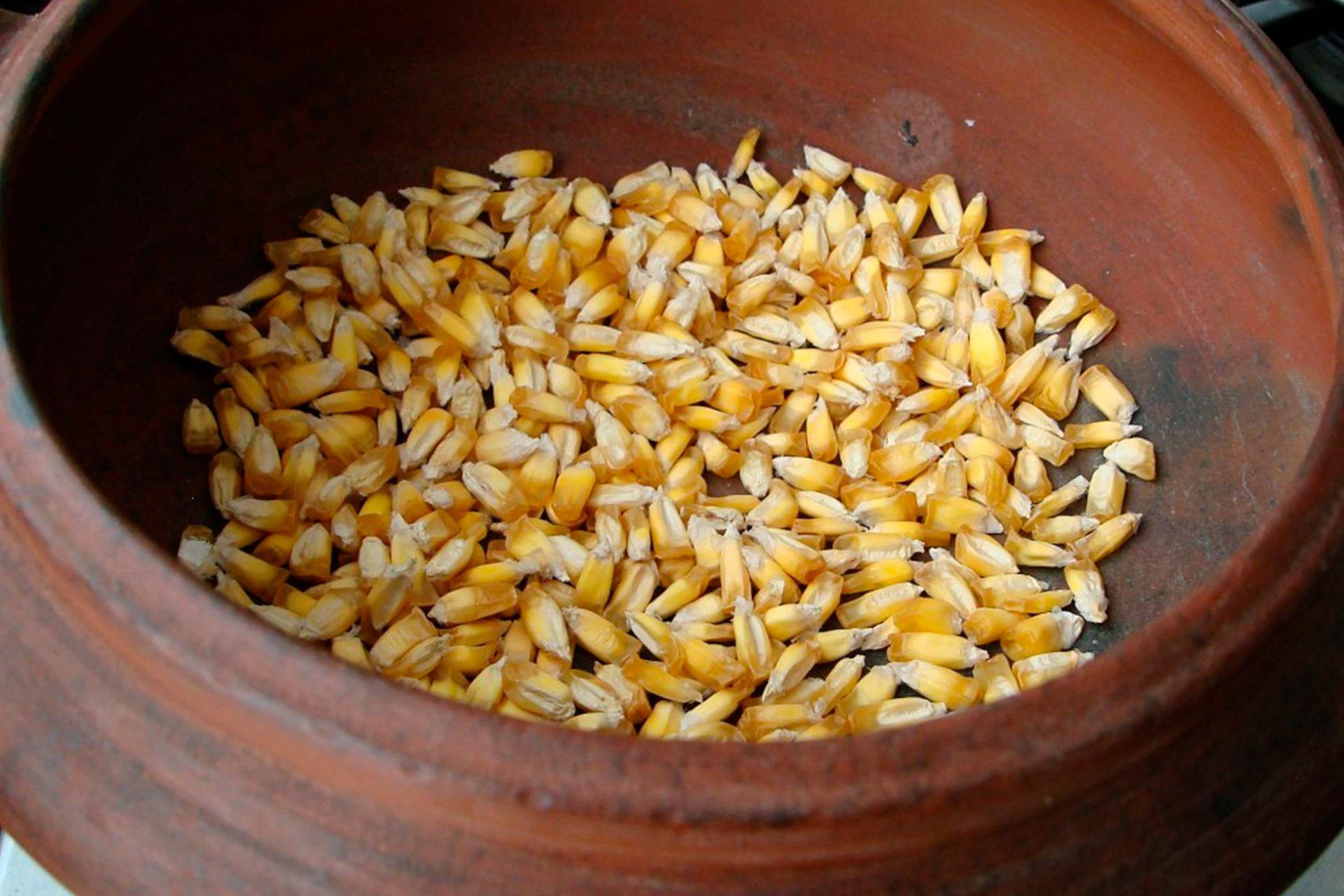 Gold Land | Maíces | Chullpi Corn