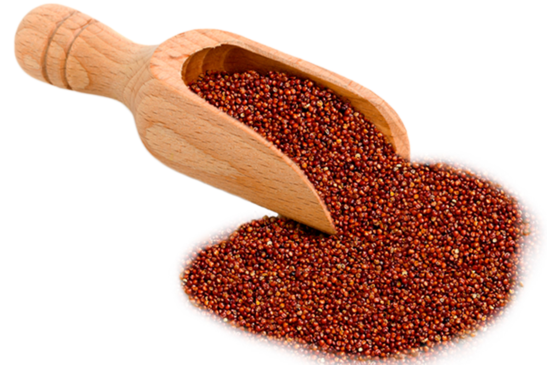 Gold Land | Quinoa | Red Quinoa