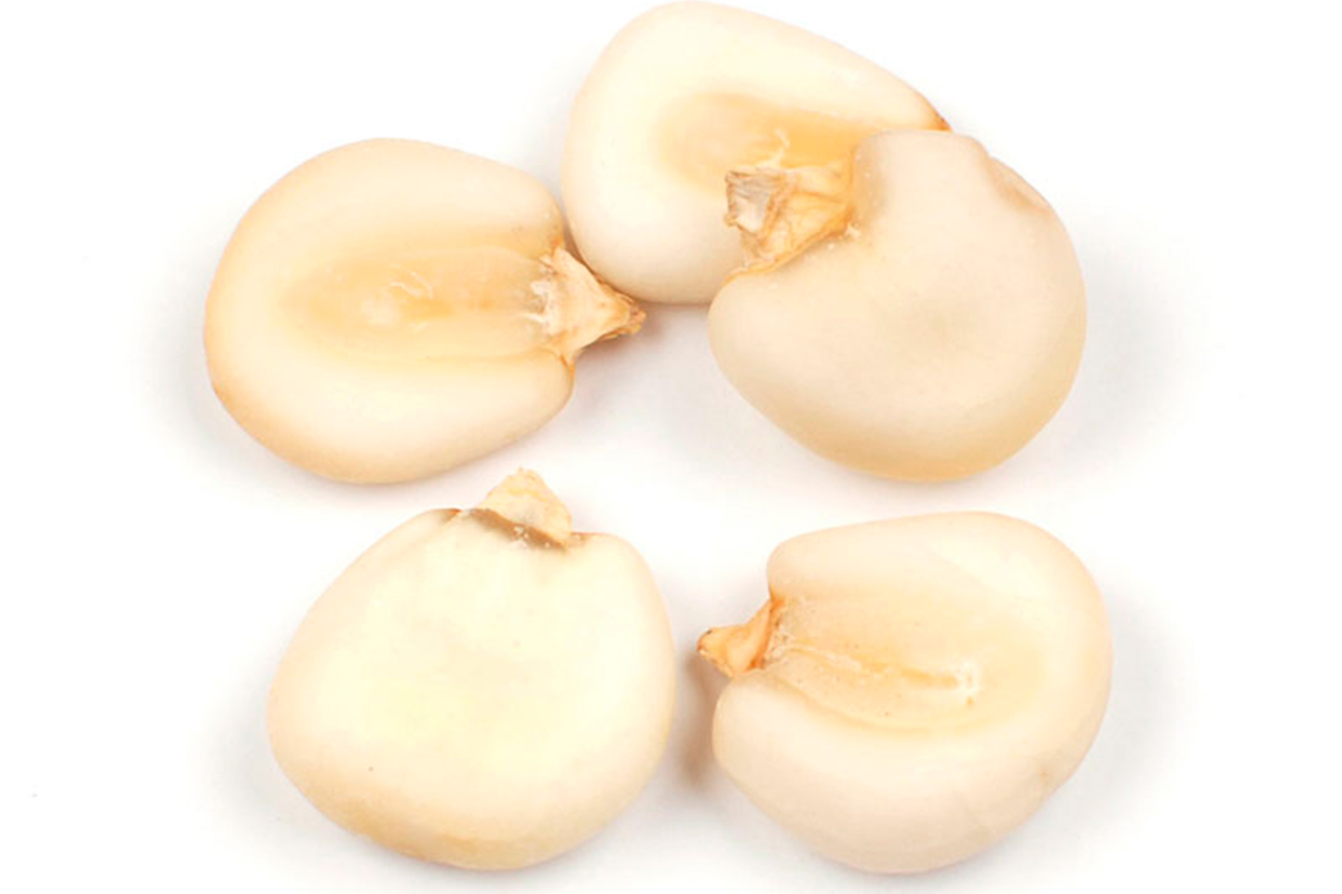 Gold Land | Maíces | Giant Inca corn