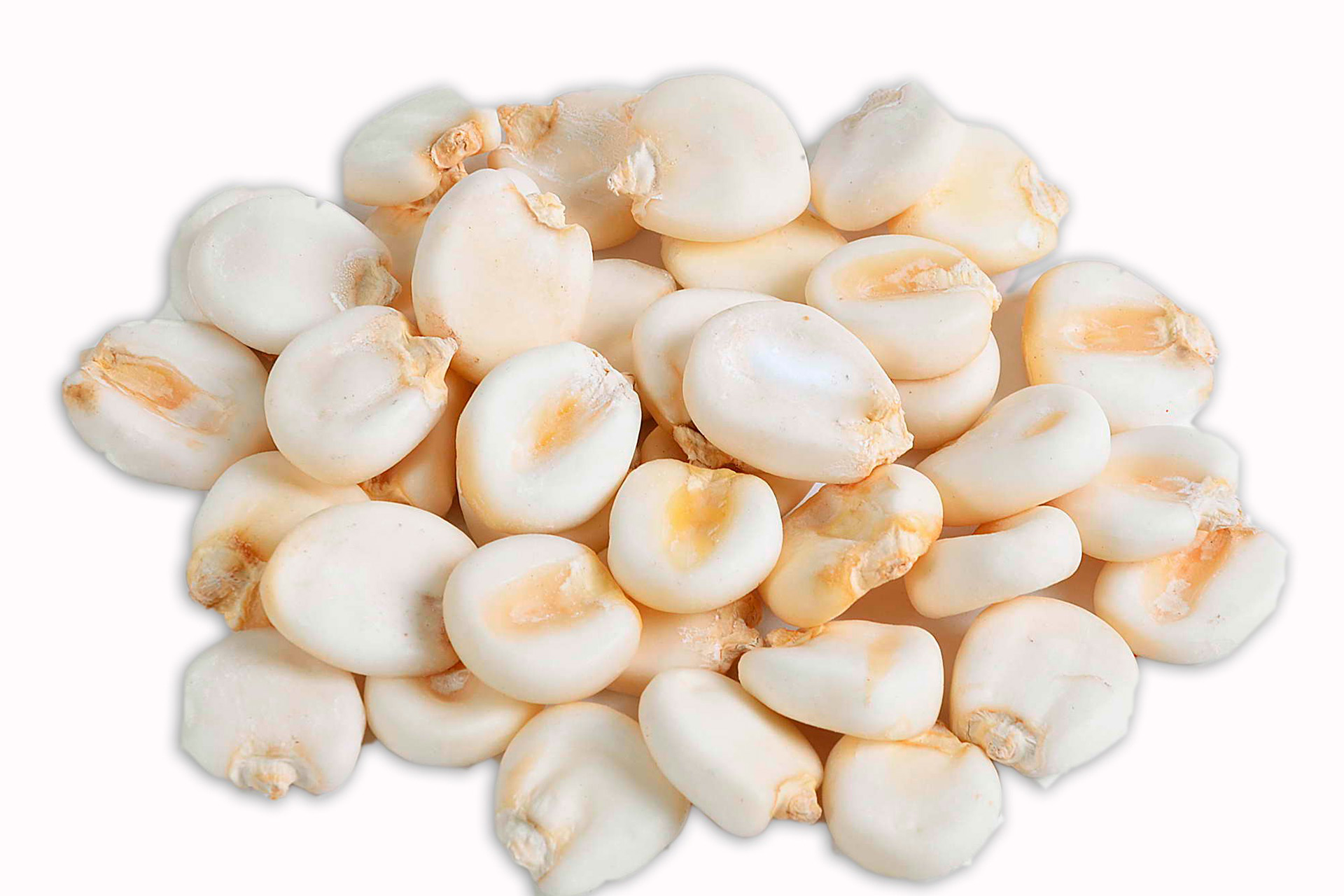 Gold Land | Maíces | Mote Corn