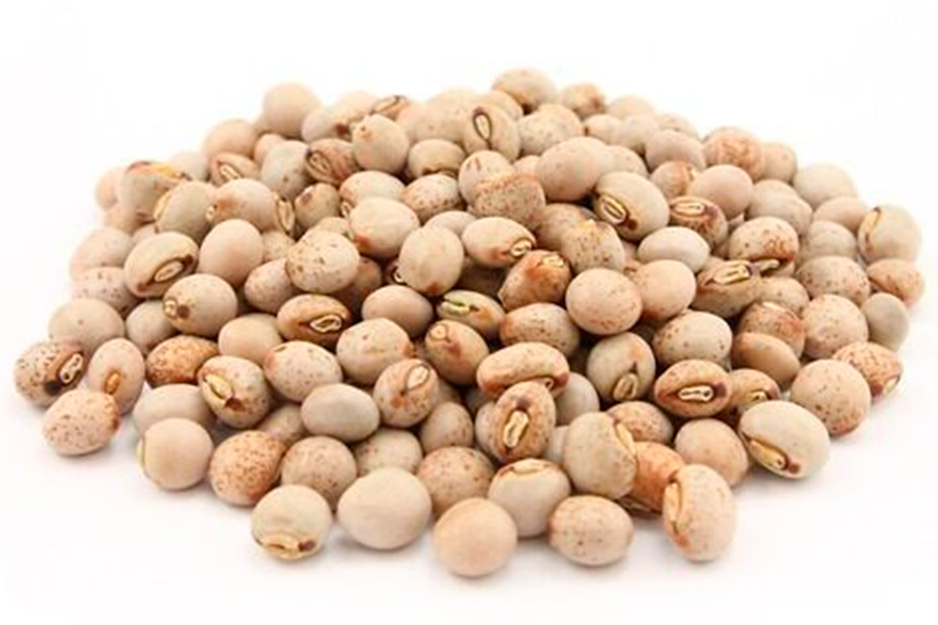 Gold Land | Pulses | Pigeon beans