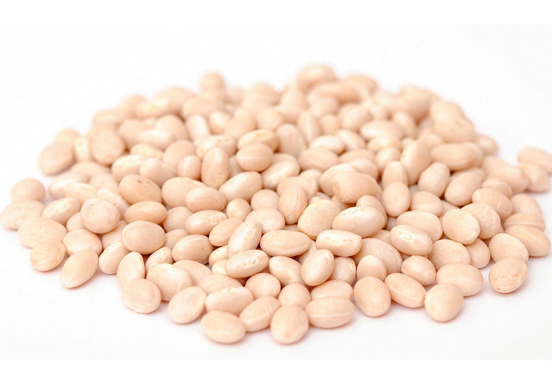 Gold Land | Pulses | Round Beans